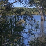 Poona Lake, Queensland, Australia - 73 Reviews, Map | AllTrails