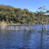 Poona Lake, Queensland, Australia - 73 Reviews, Map | AllTrails
