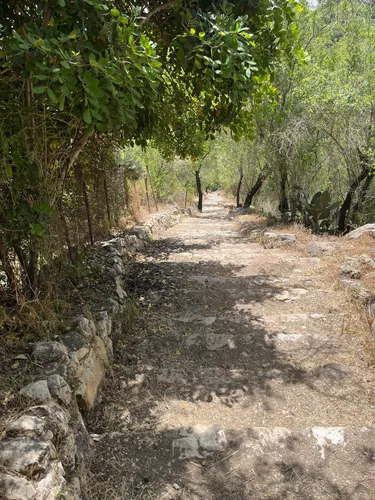 2023 Best Backpacking Trails in Ein Rafa | AllTrails