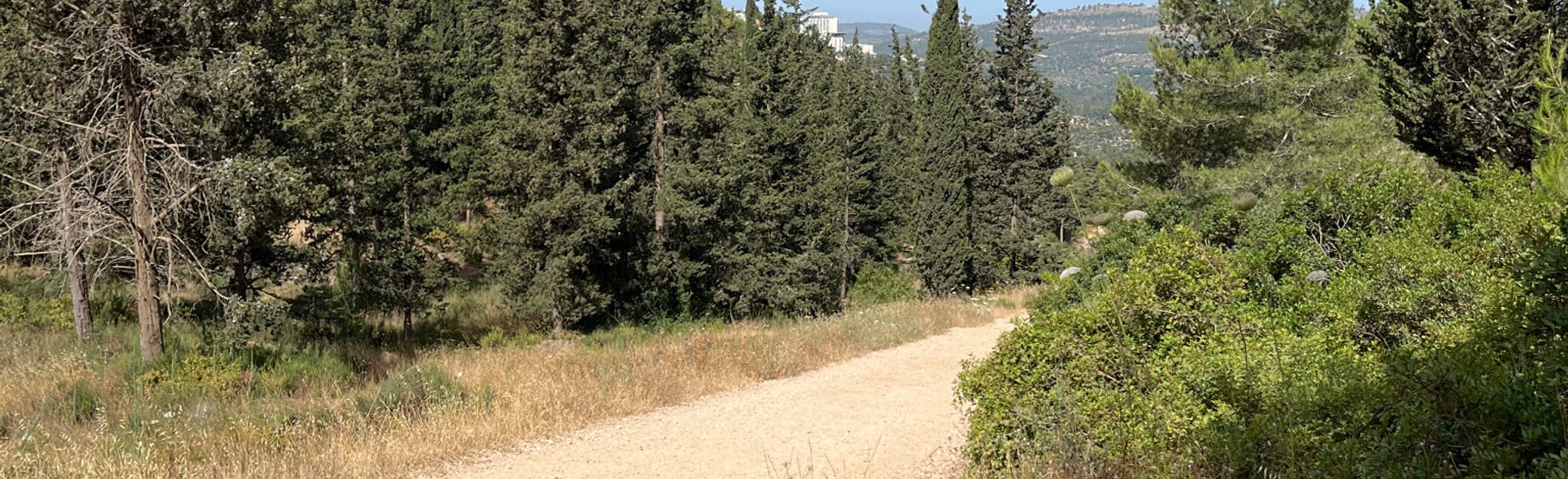 Beit Zayit, Mount Herzl, Kfar Shaul and Roman Ascent, Jerusalem, Israel ...