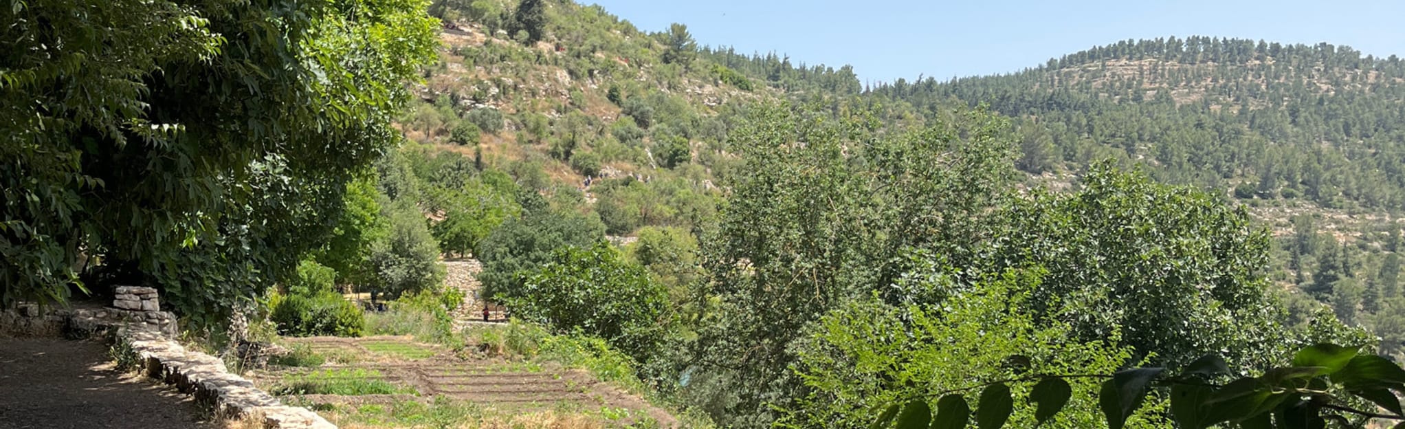 Sataf and Sorek River Circuit, Jerusalem, Israel - 13 Reviews, Map ...