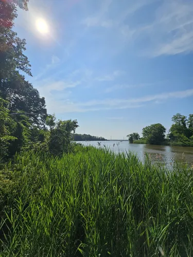 Best Hikes and Trails in Mariner Point Park | AllTrails