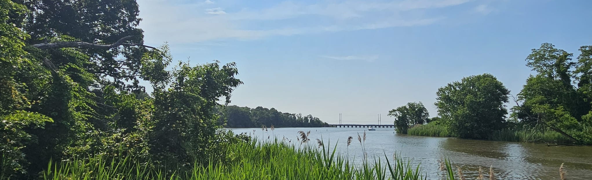 Mariner Point Park Loop, Maryland - 345 Reviews, Map | AllTrails