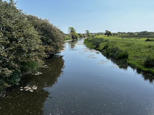 Best Hikes and Trails in Pevensey Levels Site of Special Scientific ...