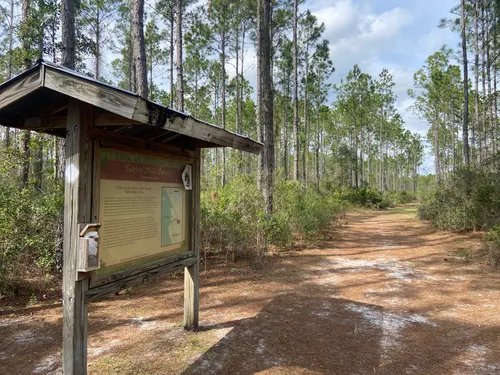 Best Hikes and Trails in Twelve Mile Swamp Conservation Area | AllTrails