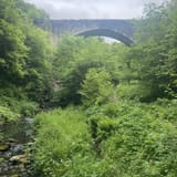 Beamish Park and Causey Arch Circular, County Durham, England - 377 ...