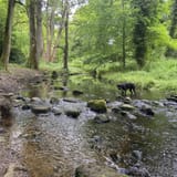Beamish Park and Causey Arch Circular, County Durham, England - 377 ...