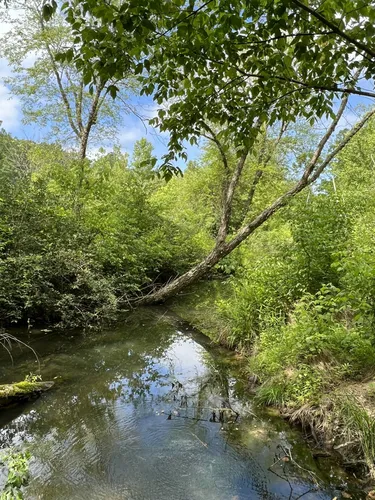 Best Hikes and Trails in Cumberland State Forest | AllTrails