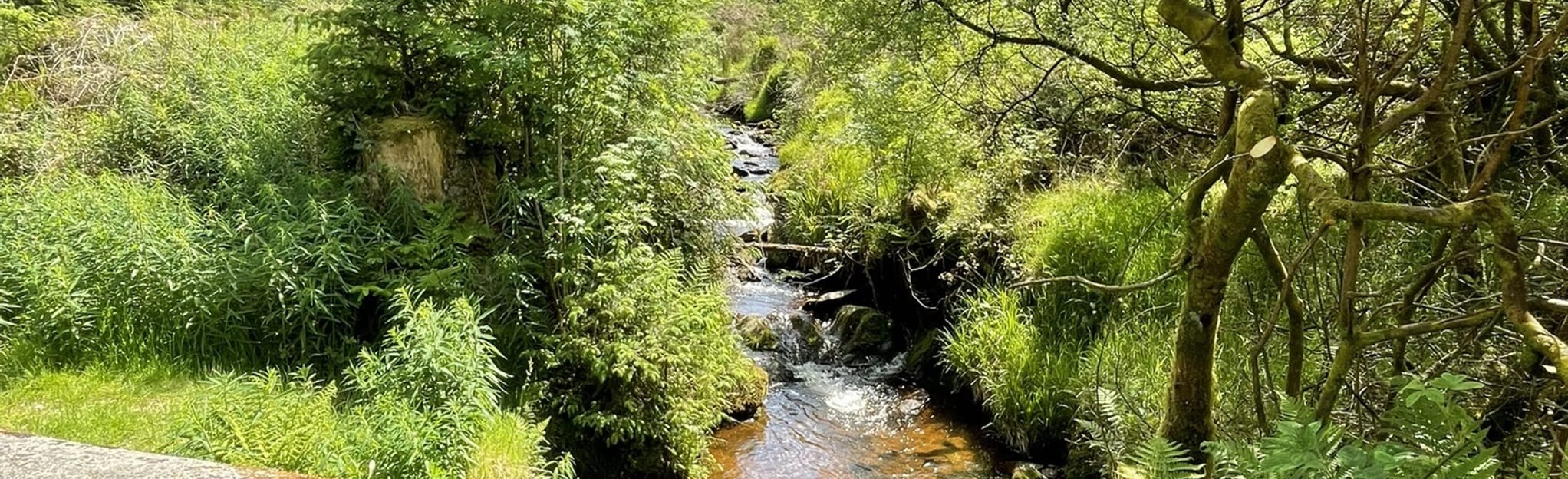 Gortin Glen Walk: 28 Reviews, Map - Fermanagh and Omagh, Northern ...