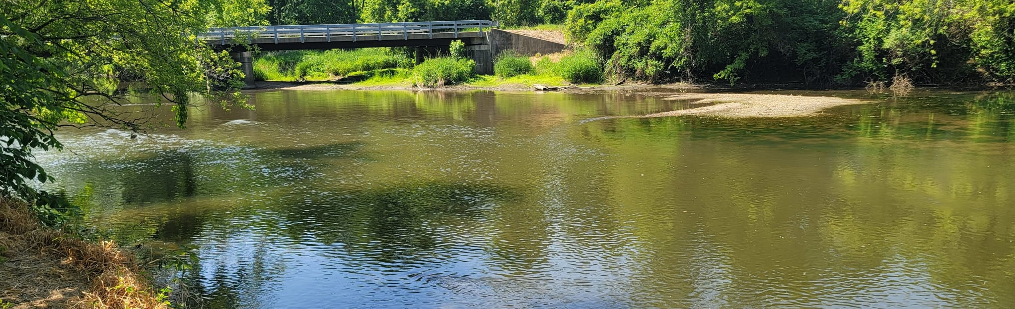 Knute Olson, Jr. Forest Preserve Loop: 43 Reviews, Map - Illinois ...