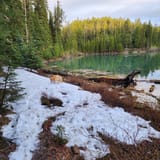 Whits Lakes Spring, Montana - 142 Reviews, Map | AllTrails