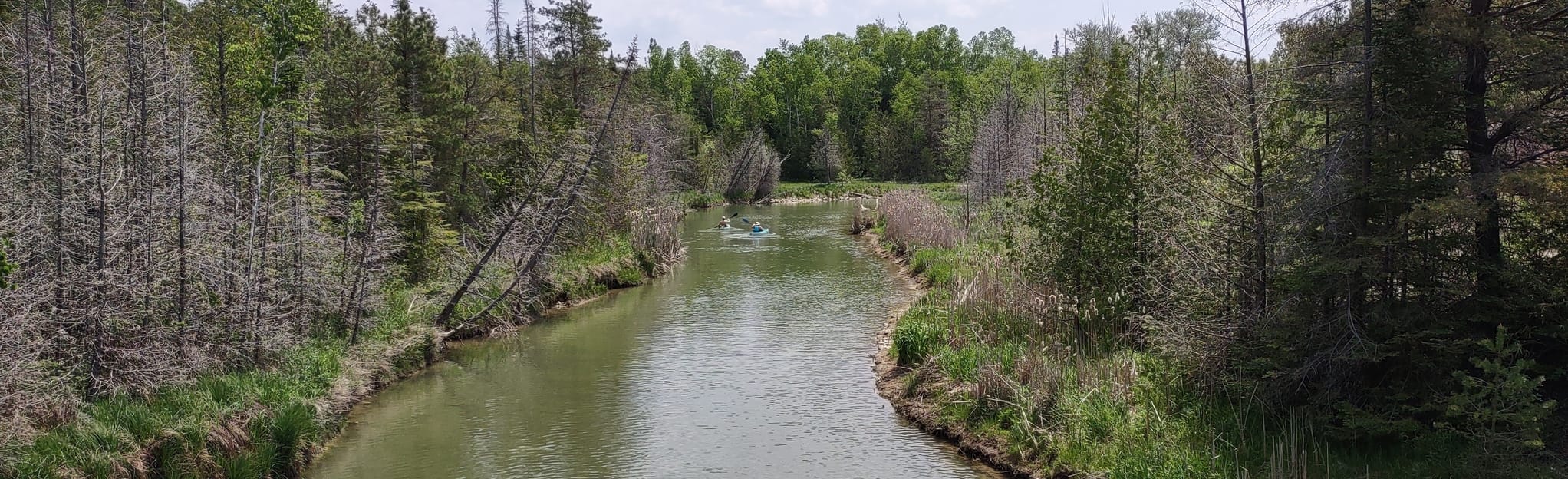 Inverhuron Provincial Park, Ontario, Canada - 277 Reviews, Map | AllTrails