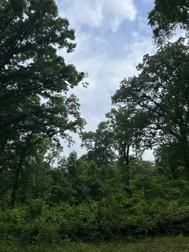 Best Hikes and Trails in Joseph Bryan Park | AllTrails