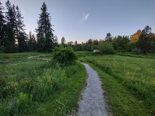 10 Best Trails and Hikes in Redmond | AllTrails