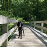 Struble Trail, Pennsylvania - 1,028 Reviews, Map | AllTrails