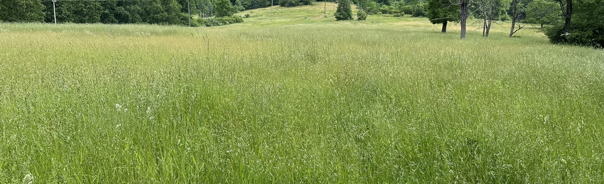 Rachel Carson Trail: North Park to Harrison Hills Park: 282 Reviews ...