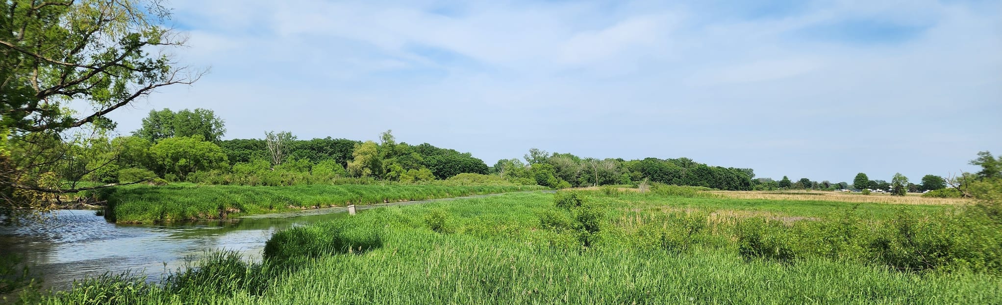 Donald Hackbarth Trail, Wisconsin - 68 Reviews, Map | AllTrails