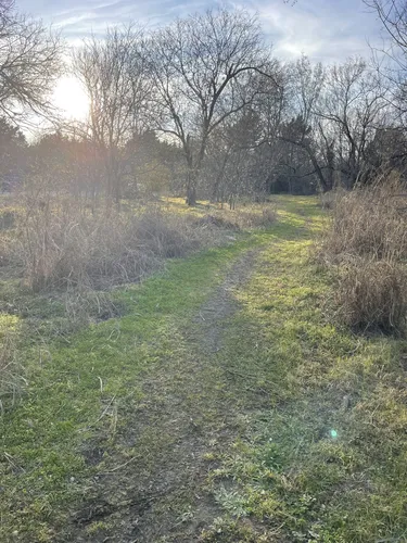 Best Hikes and Trails in Lynn Creek Park | AllTrails