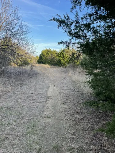 Best Hikes and Trails in Lynn Creek Park | AllTrails