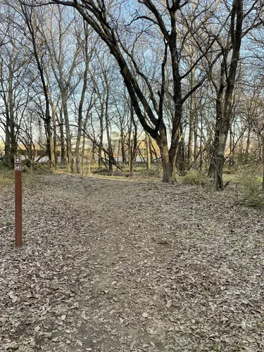 Best Hikes and Trails in Lynn Creek Park | AllTrails