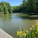 Carpenter Lake Nature Preserve Loop, Michigan - 463 Reviews, Map ...