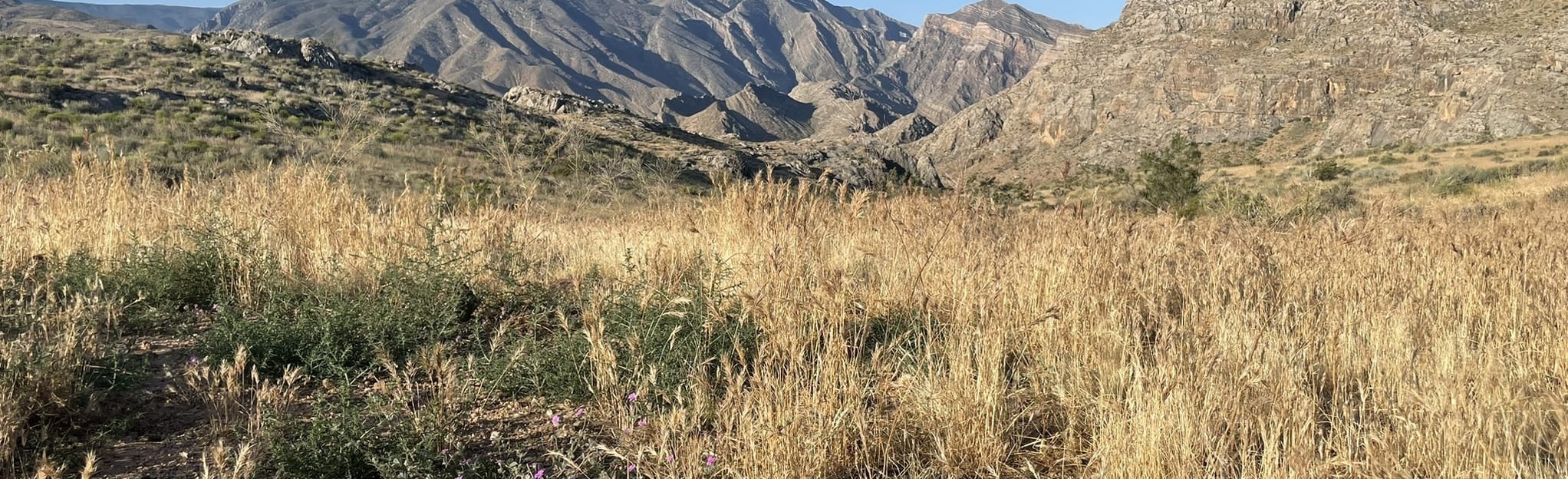 Cedar Pocket Hike: 14 Reviews, Map - Arizona | AllTrails