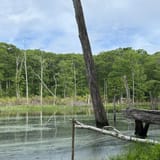 Tekoa Mountain and Westfield Reservoir, Massachusetts - 166 Reviews ...