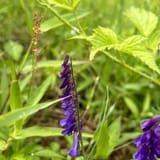 Tekoa Mountain and Westfield Reservoir, Massachusetts - 166 Reviews ...