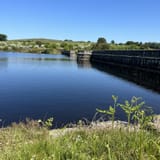 Fernworthy Reservoir Circular, Devon, England - 61 Reviews, Map | AllTrails