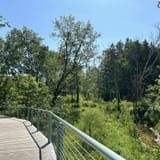Dow Gardens Canopy Walk, Michigan - 138 Reviews, Map | AllTrails