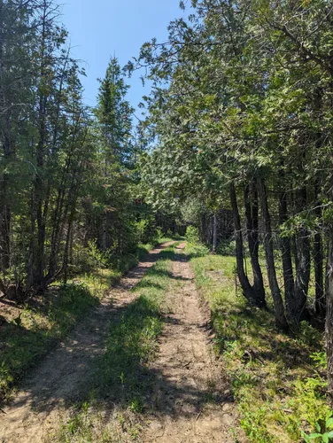 Best Hikes and Trails in Marlborough Forest | AllTrails