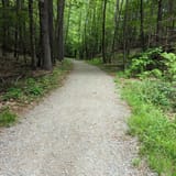 Arbutus Park and Raven Rookery Trail Loop , Massachusetts - 597 Reviews ...