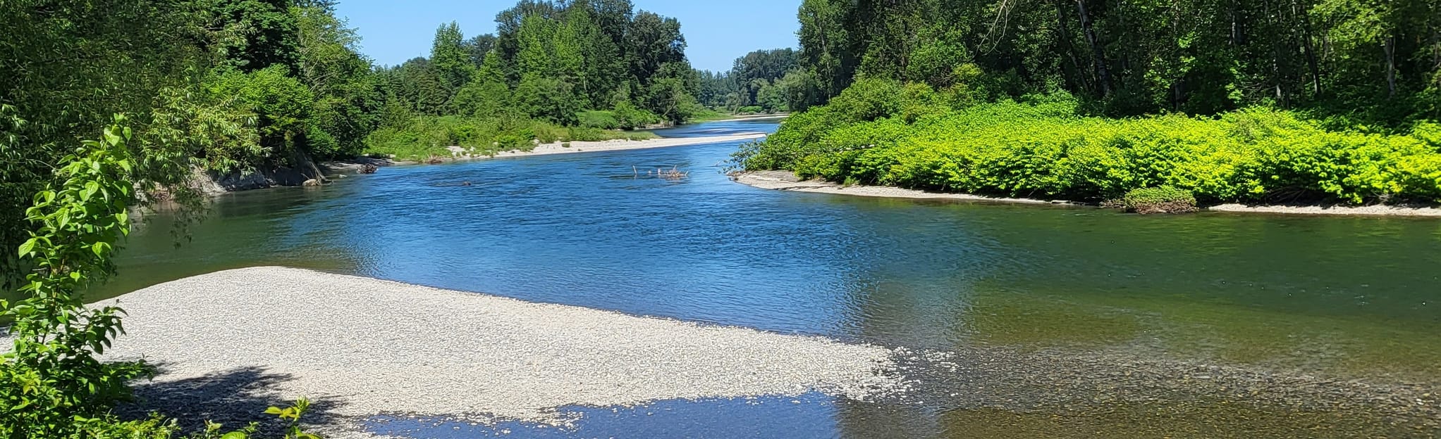 Chinook Bend Natural Area Loop, Washington - 102 Reviews, Map | AllTrails