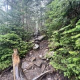 Mount Lafayette, North Lincoln, and Little Haystack Loop, New Hampshire ...
