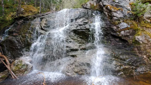 Best Hikes and Trails in Terrenceville | AllTrails