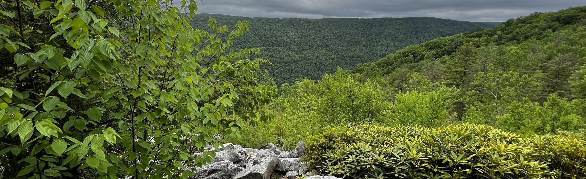 Allegheny Trail Loop , West Virginia - 49 Reviews, Map | AllTrails