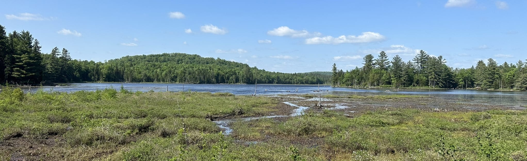 AllTrails | Cranberry Lake 50 Loop: 235 Reviews, Map - New York