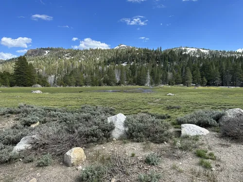 10 Best Off Road Driving Trails in Humboldt-Toiyabe National Forest ...