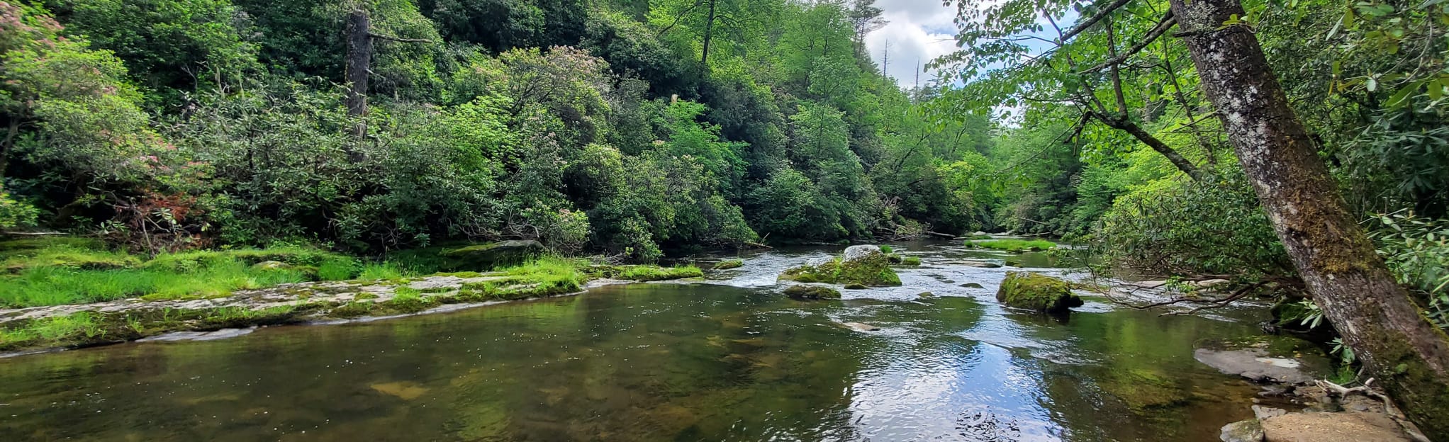 Chattooga River Trail from Bull Pen Road, North Carolina - 136 Reviews ...