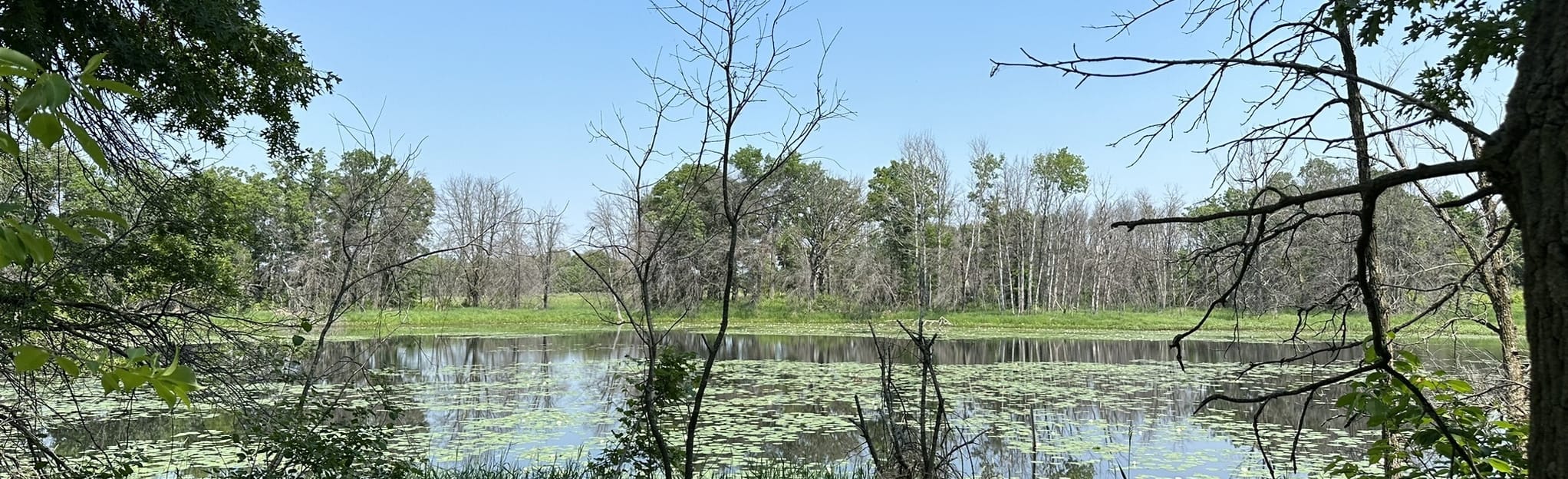 Big Bluestem Trail , Minnesota - 138 Reviews, Map | AllTrails