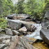 Mount Hale and Mount Zealand Loop via Hale Brook to Zealand Trail, New ...