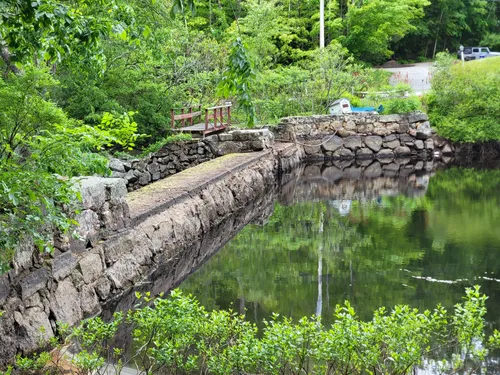 Best Hikes and Trails in Black Brook and Blackbriar Woods Preserves ...