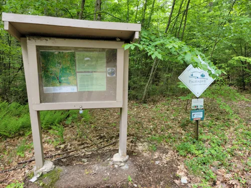 Best Hikes and Trails in Black Brook and Blackbriar Woods Preserves ...