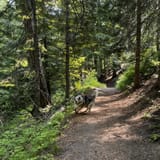 Headwaters Trail, Idaho - 629 Reviews, Map | AllTrails