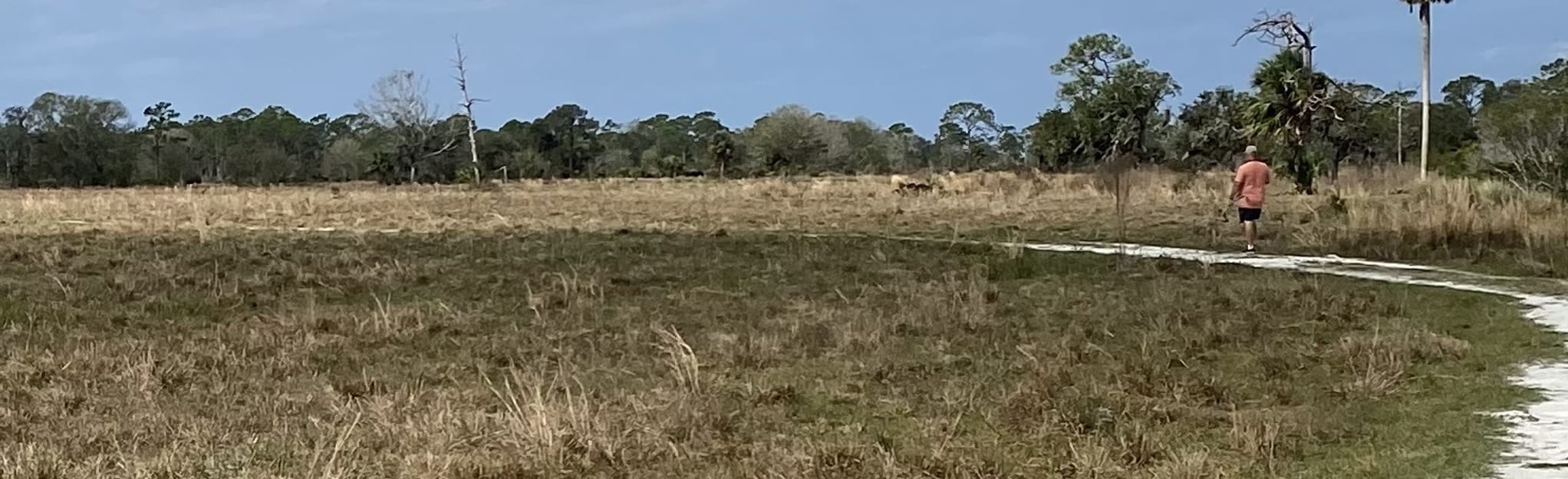 Grassy Island Mountain Bike Trail : 55 Reviews, Map - Florida | AllTrails