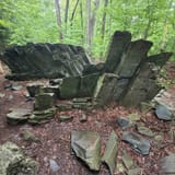 Limberlost Trail, Virginia - 750 Reviews, Map | AllTrails