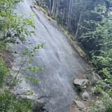 Debar Mountain Trail, New York - 202 Reviews, Map | AllTrails