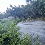 Debar Mountain Trail, New York - 202 Reviews, Map | AllTrails