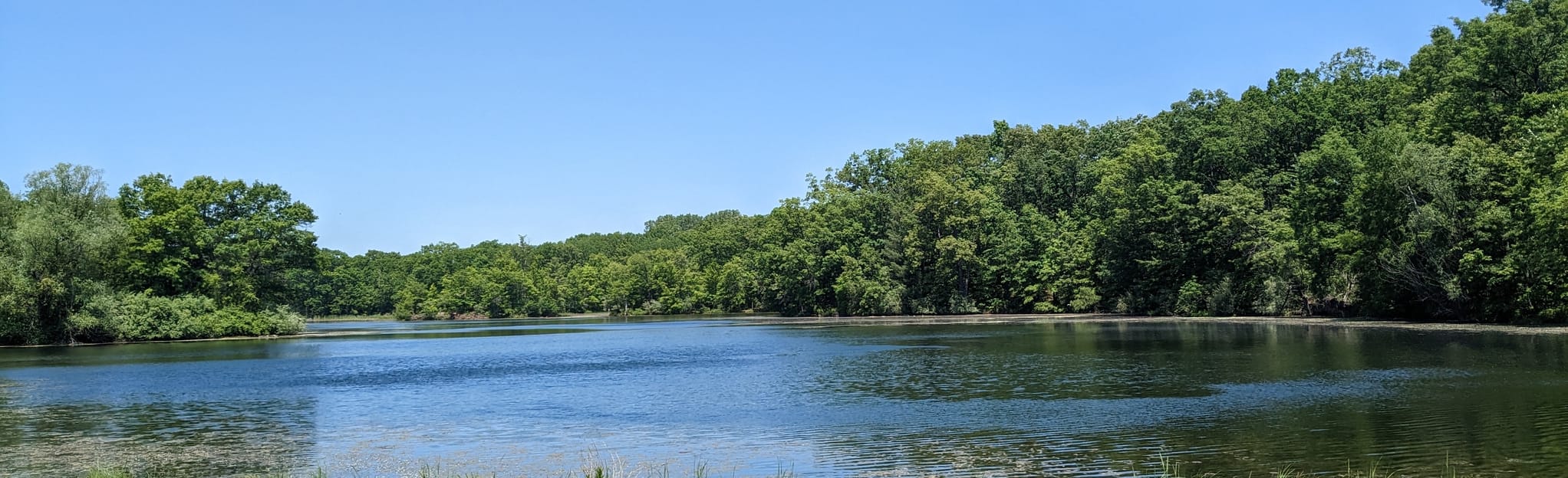 Graham Lakes Trail, Michigan - 862 Reviews, Map | AllTrails