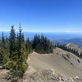 Blue Mountain Trail, Washington - 231 Reviews, Map | AllTrails